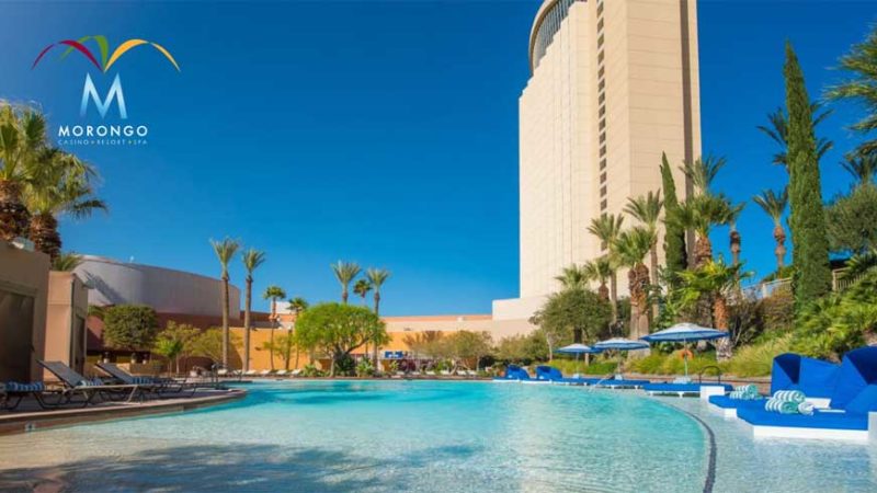 Limousines & Party Bus Blog